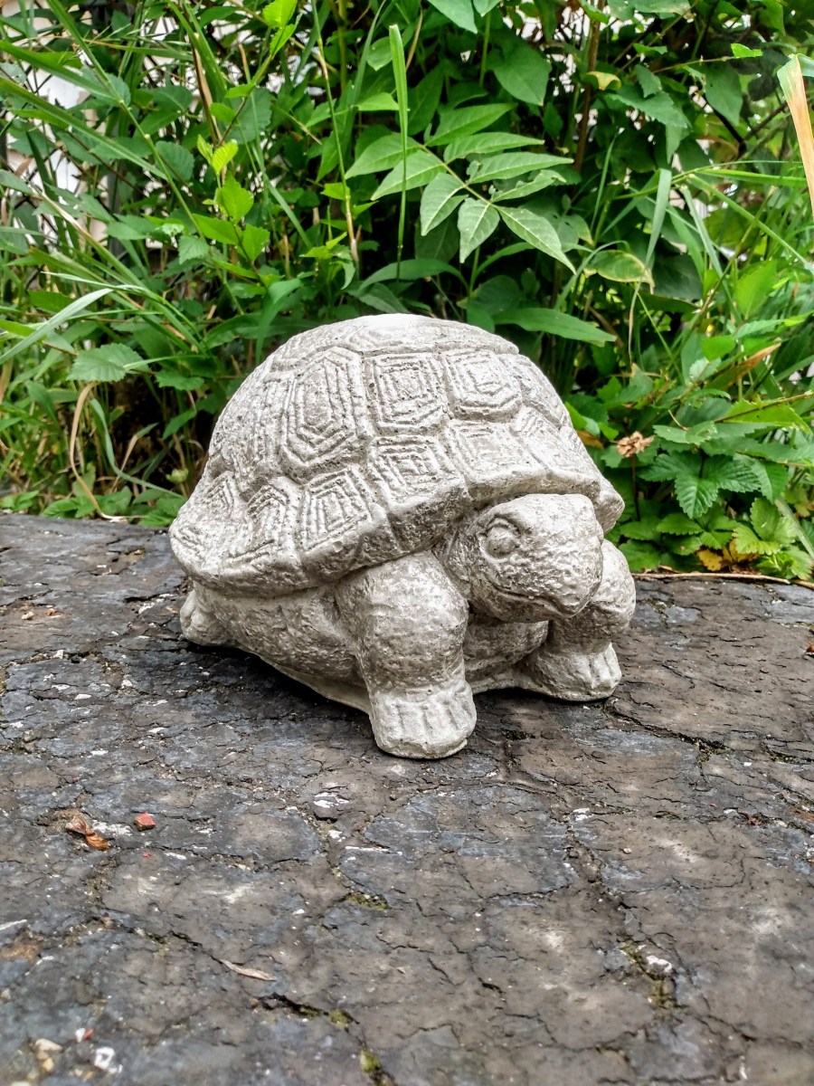 Turtles – Daniel's Creeptorium